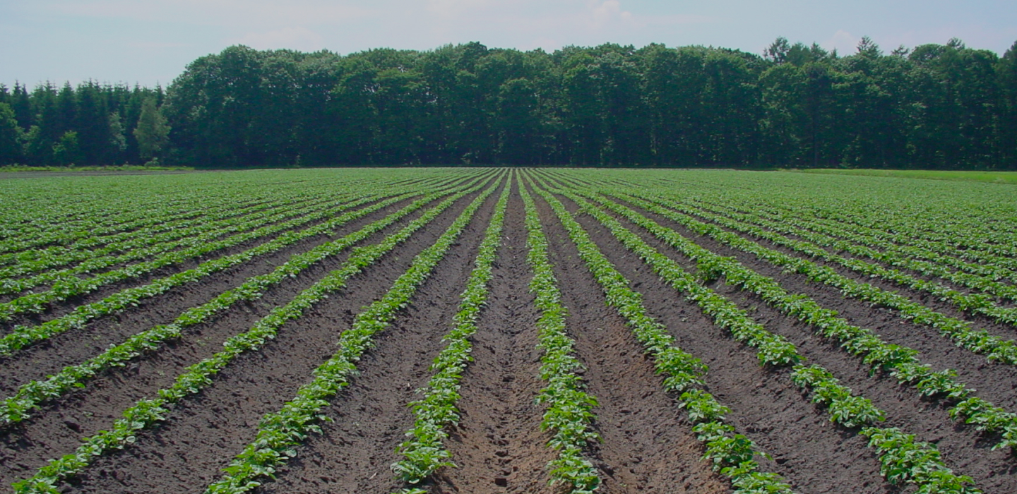 Royal Avebe concludes financial year 2021/2022 with a cooperative ...