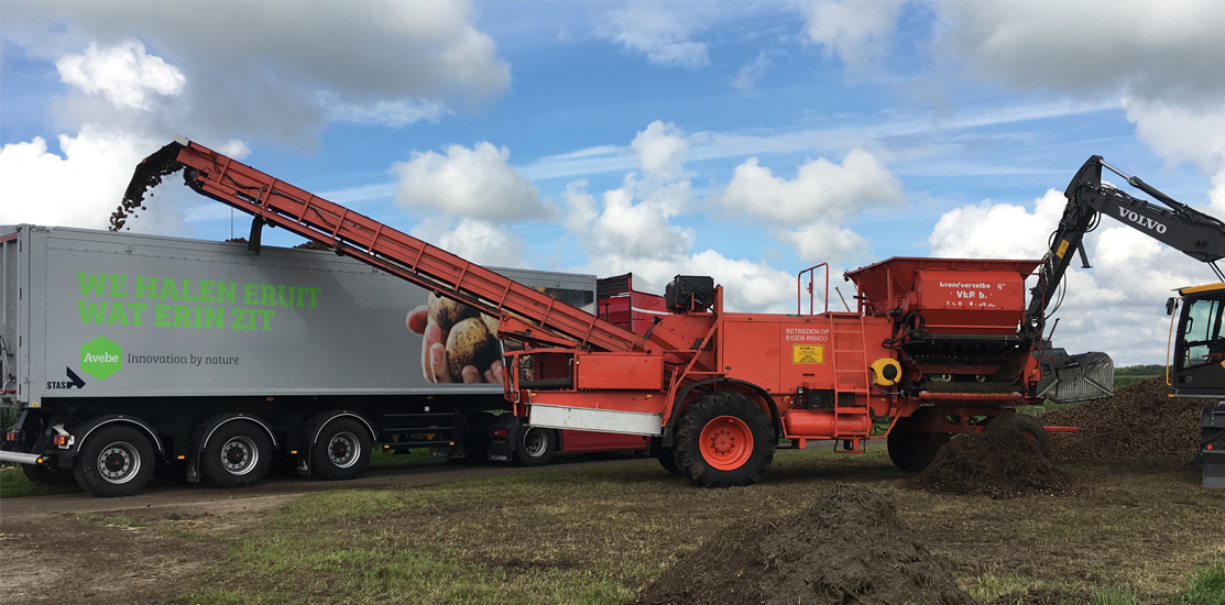 Potato campaign Royal Avebe begins - Avebe