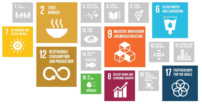Avebe working on eight Sustainable Development Goals - Avebe