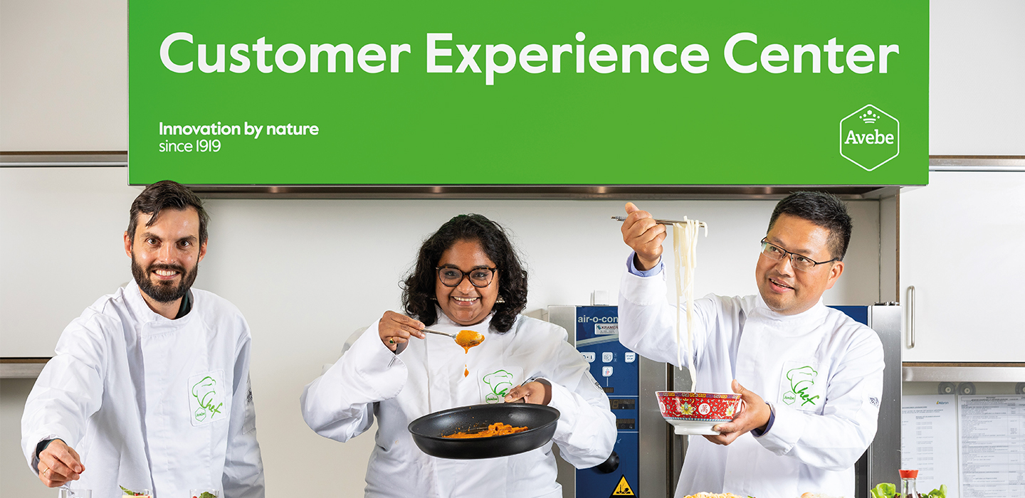 我们的方案 - Avebe