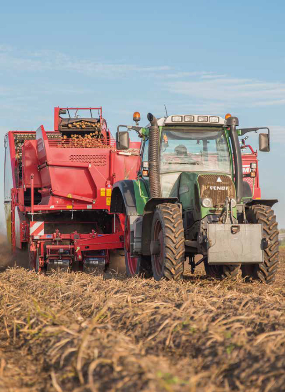 Waxy potatoes: cultivation with added value - Avebe