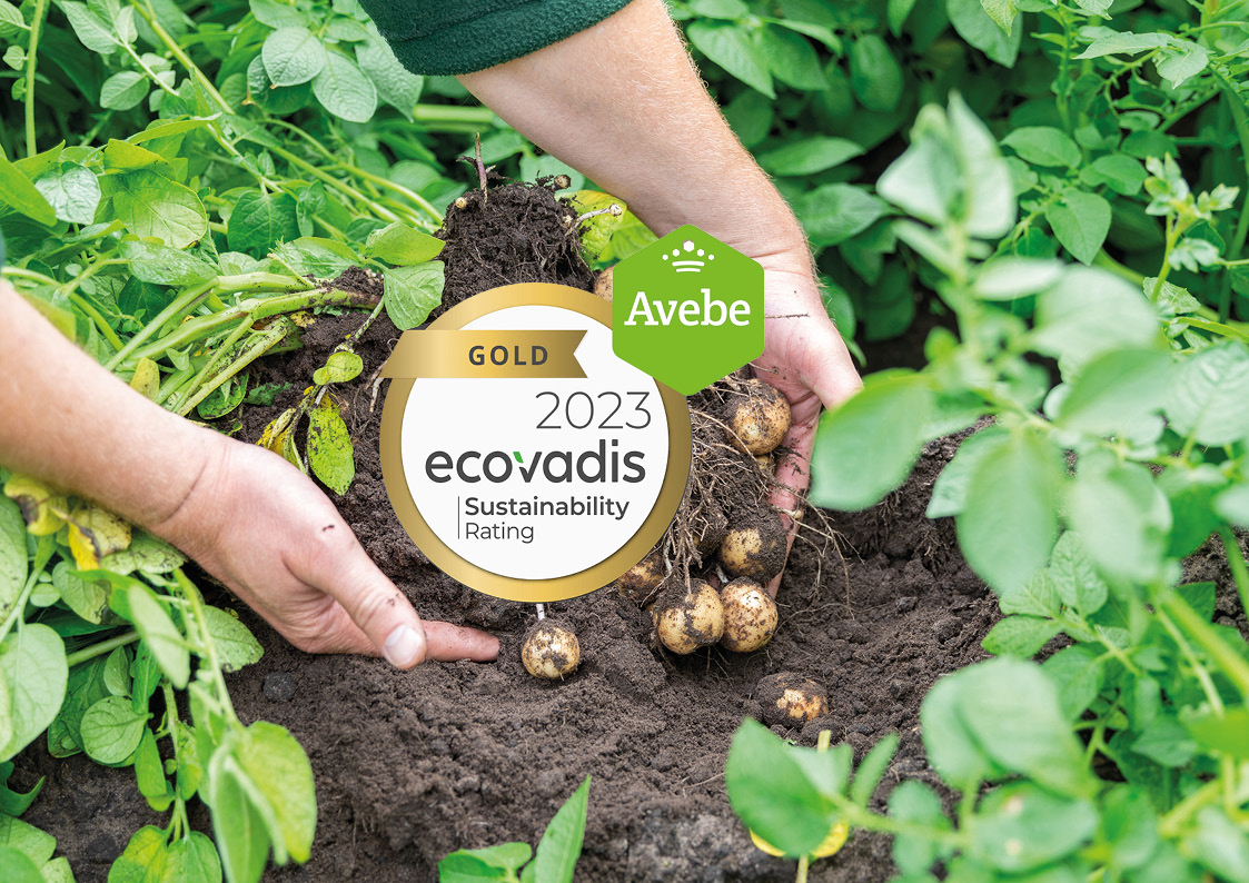 Gold medal for Royal Avebe - Avebe