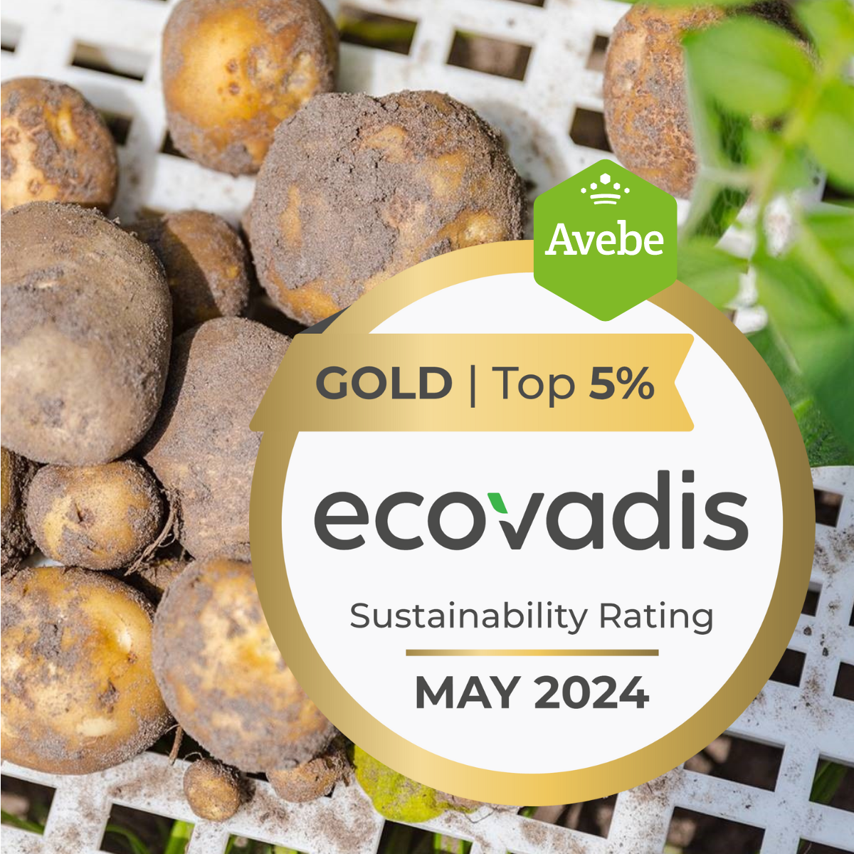 Golden EcoVadis score for Royal Avebe - Avebe